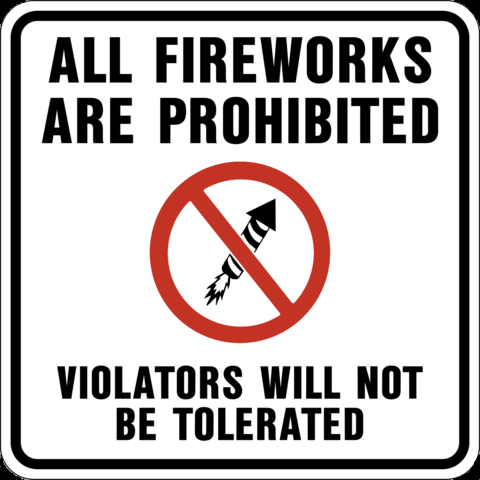 About our show - Epsom Fireworks